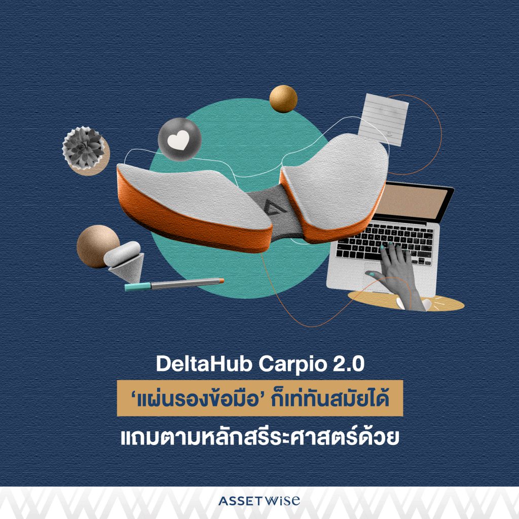 DeltaHub Carpio 2.0 | AssetWise
